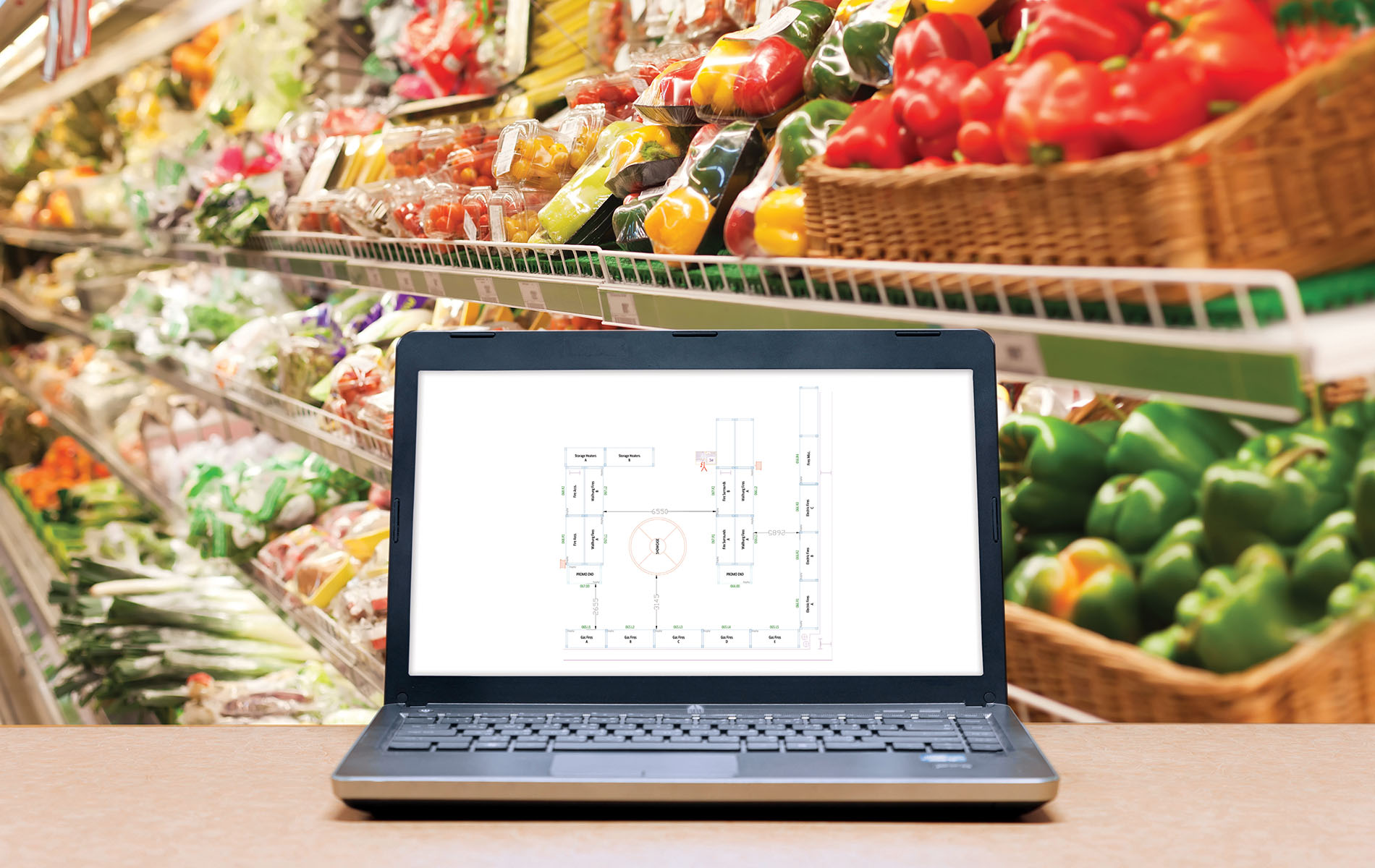 Store Surveys to Create a Merchandise Database | RGIS