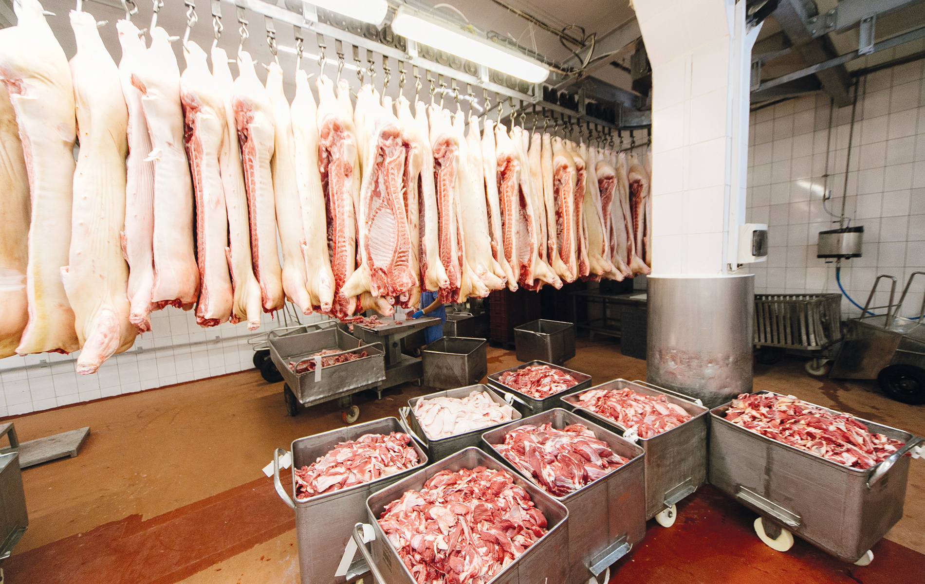 Case Study | Inventory by Weight | RGIS