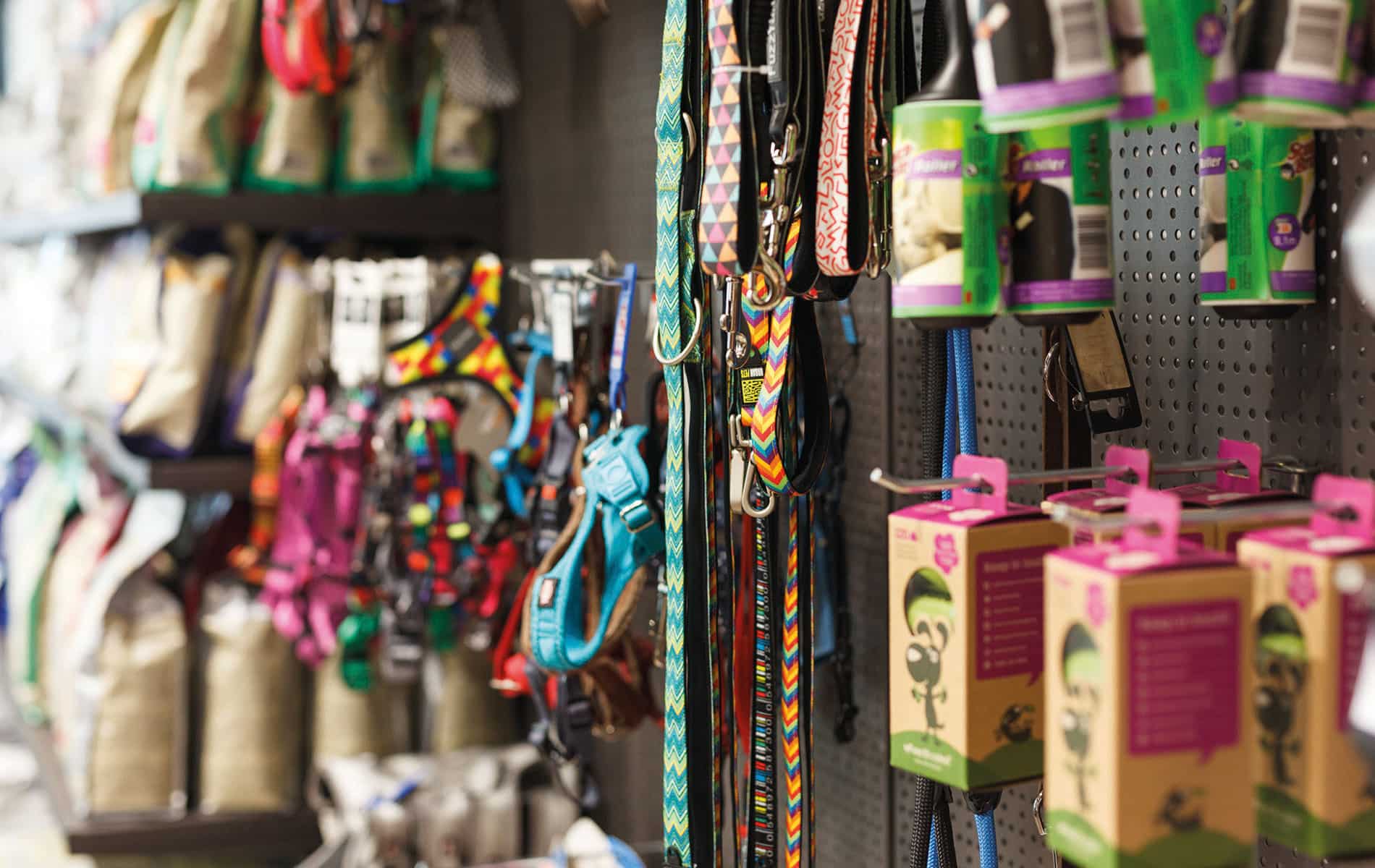 Case Study | Nationwide Pet Store Remodelling | RGIS